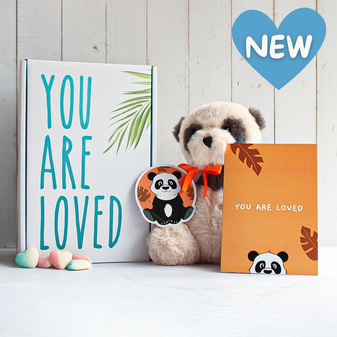 Percy the Panda – Buddy in a Box
