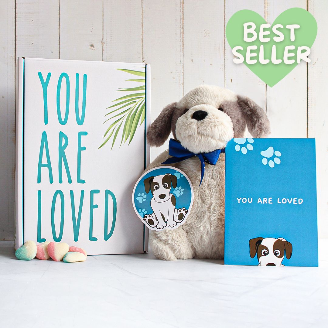 Dash the Dog – Buddy in a Box