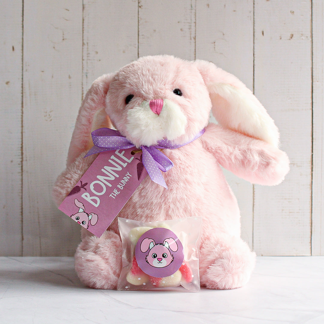 Bonnie the Bunny – Buddy in a Box